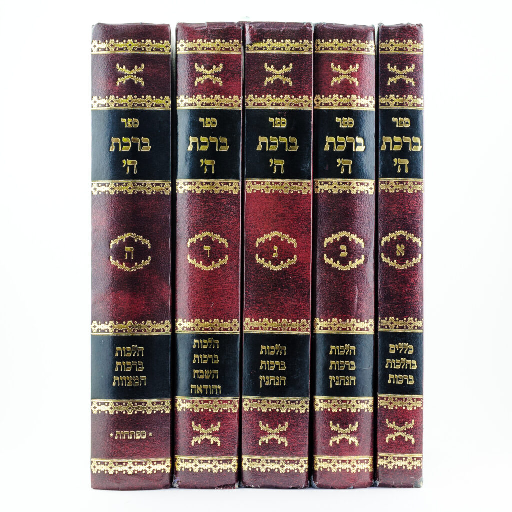 Birkat Hachem Rav Moché Lévy - ברכת ה’ – חמשה חלקים - Judaikart